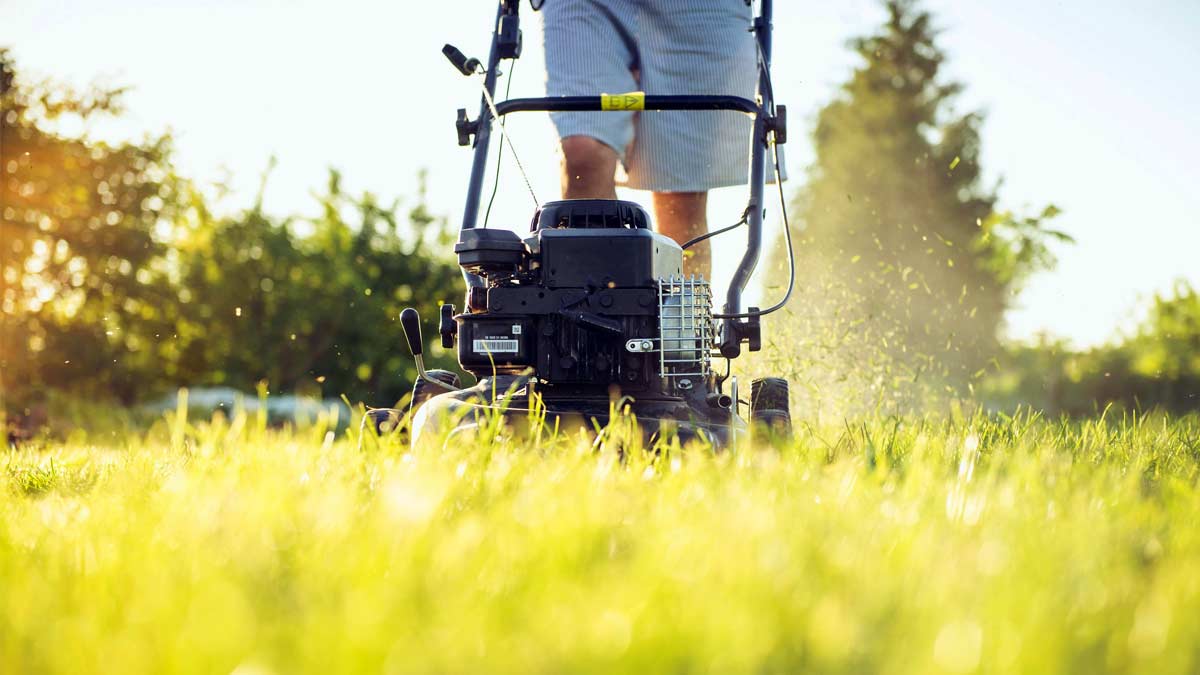 Lawn Mowing Techniques for a Healthy and Lush Lawn